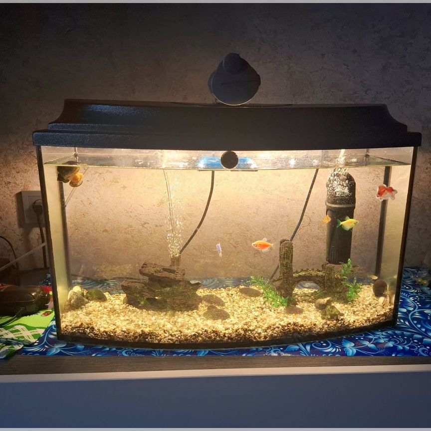 Аквариум с крышкой 55л