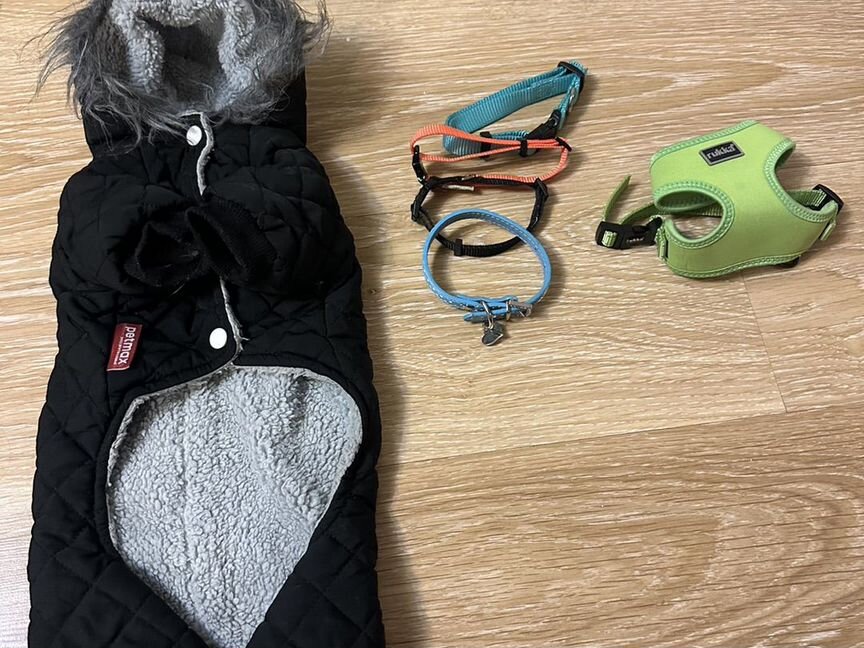 Одежда для маленьких собак