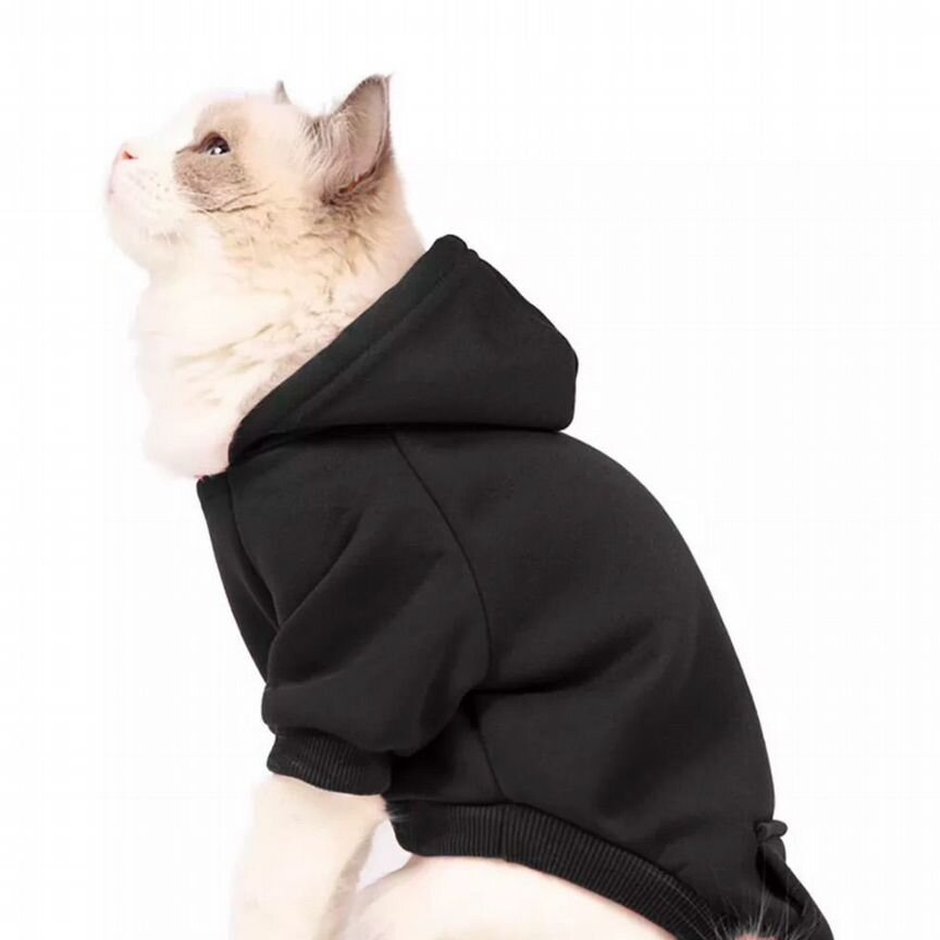 Худи для кошек