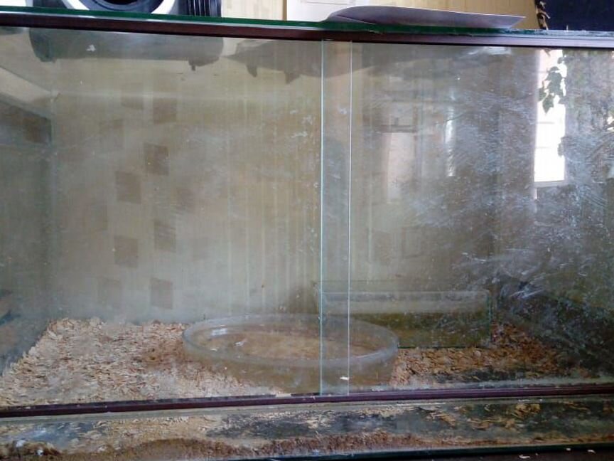 Террариум для змей