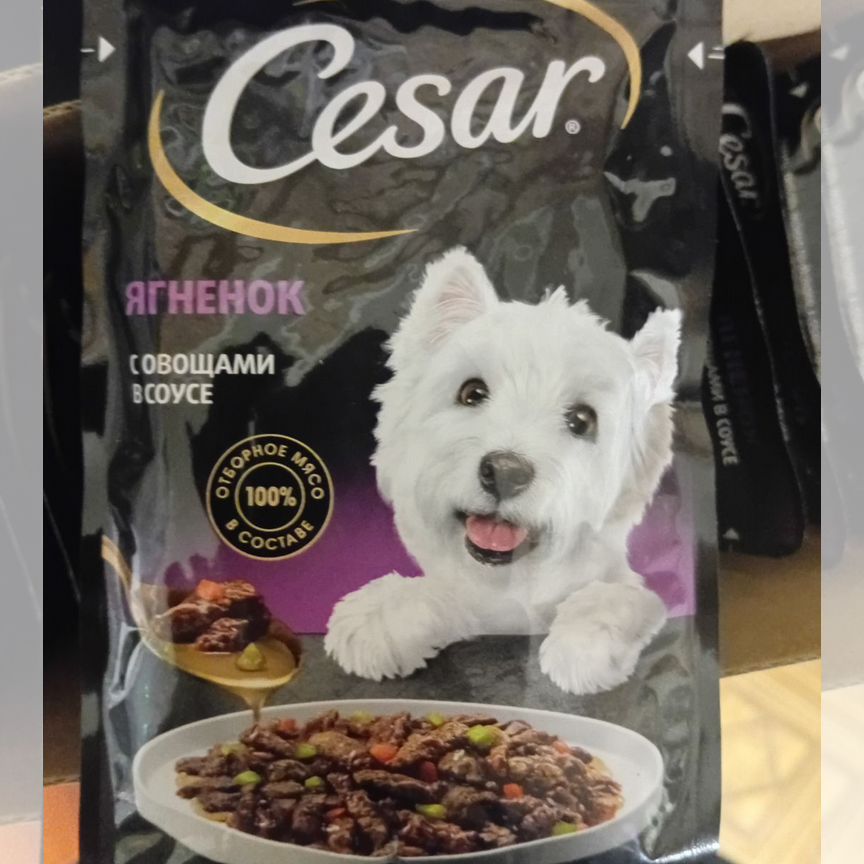 Корм для собак влажный Cesar
