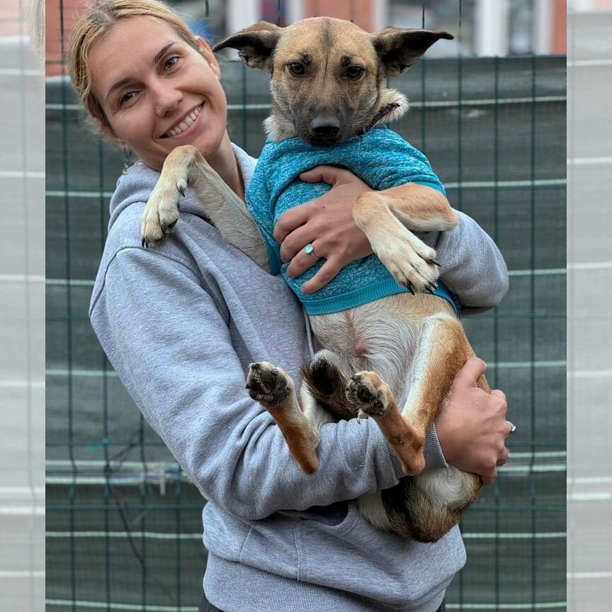 Креветка ищет дом