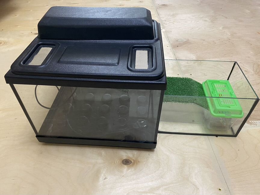 Террариум для черепахи