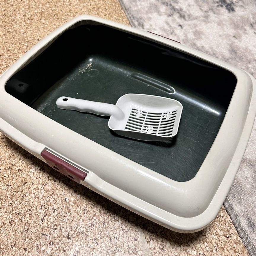 Лоток для кошек с высокими бортиками