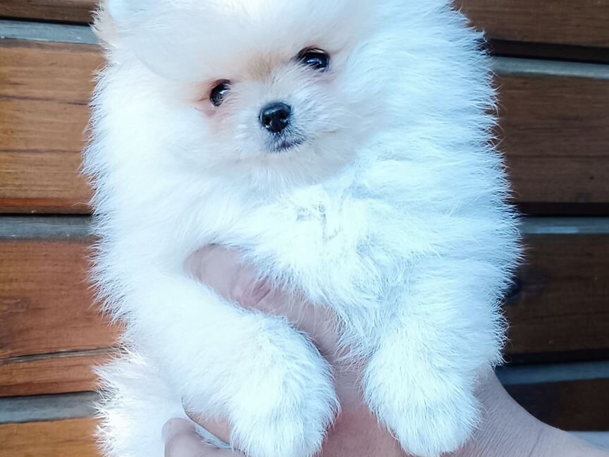 Мини кремовая малышка