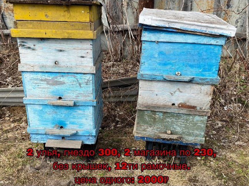 Улей для пчел бу