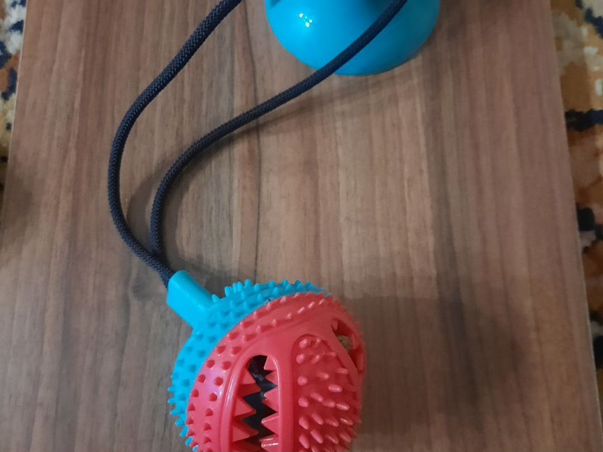 Для собачки