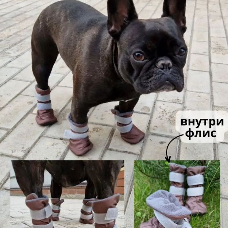 Обувь для собак