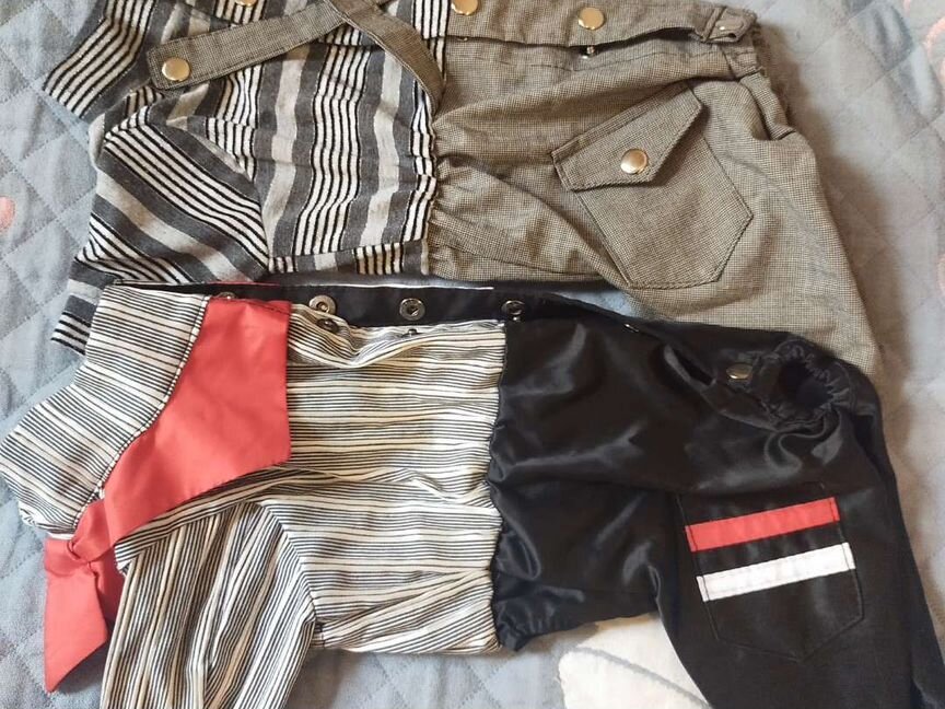 Костюмчик на маленькую собачку