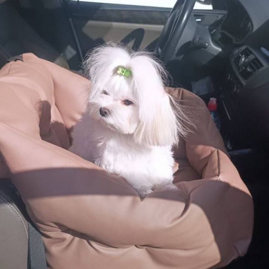 Переноска для собак в машину