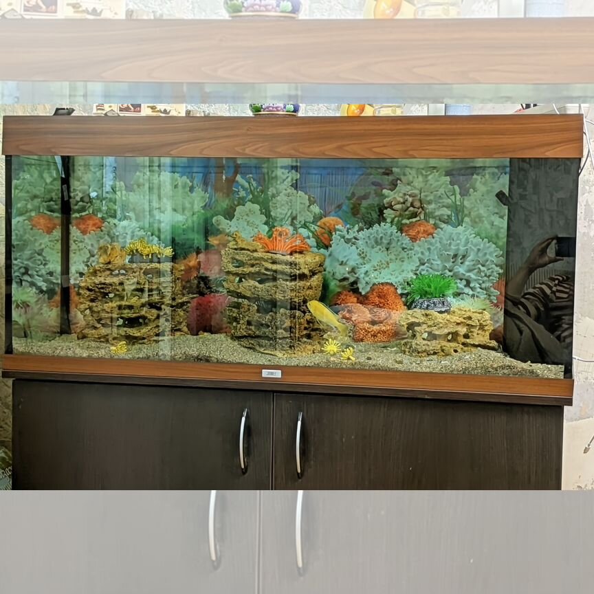 Аквариум с тумбой 240л