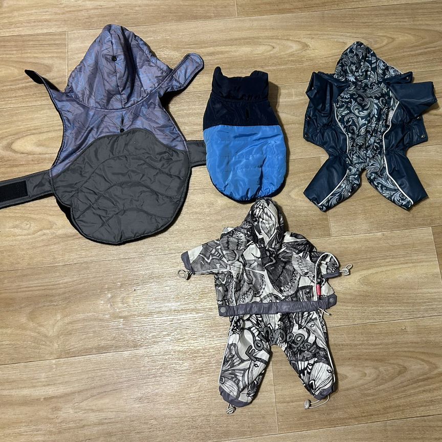 Одежда для собак