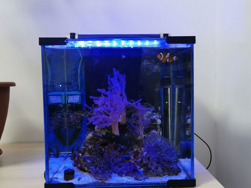 Морской аквариум 27 л