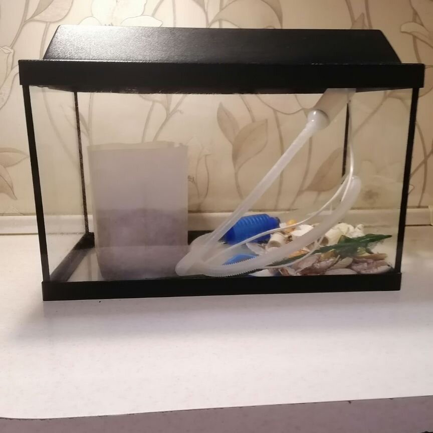 Аквариум с помпой и грунтом и ракушками и сочком