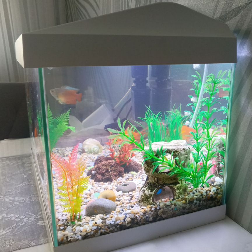 Аквариум