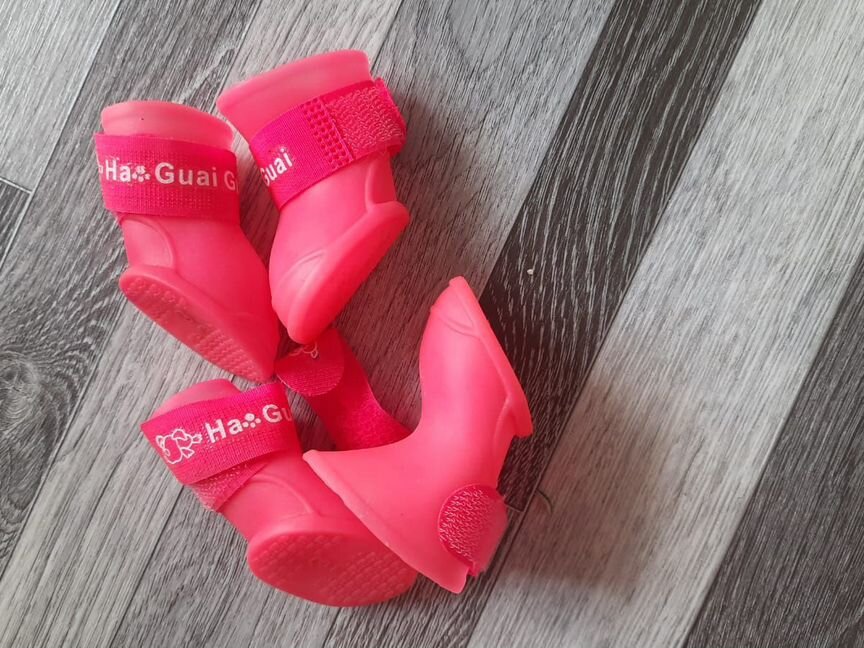 Одежда и обувь для собак