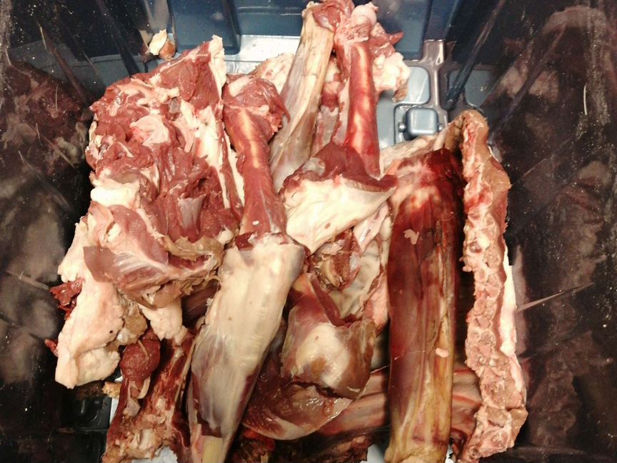 Кости для собак