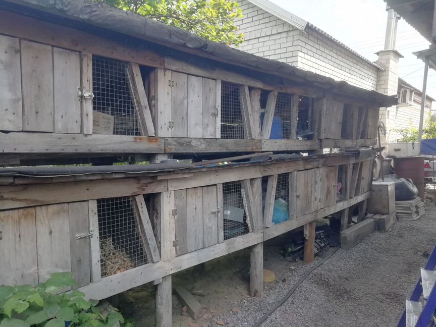 Продам клетки для кроликов