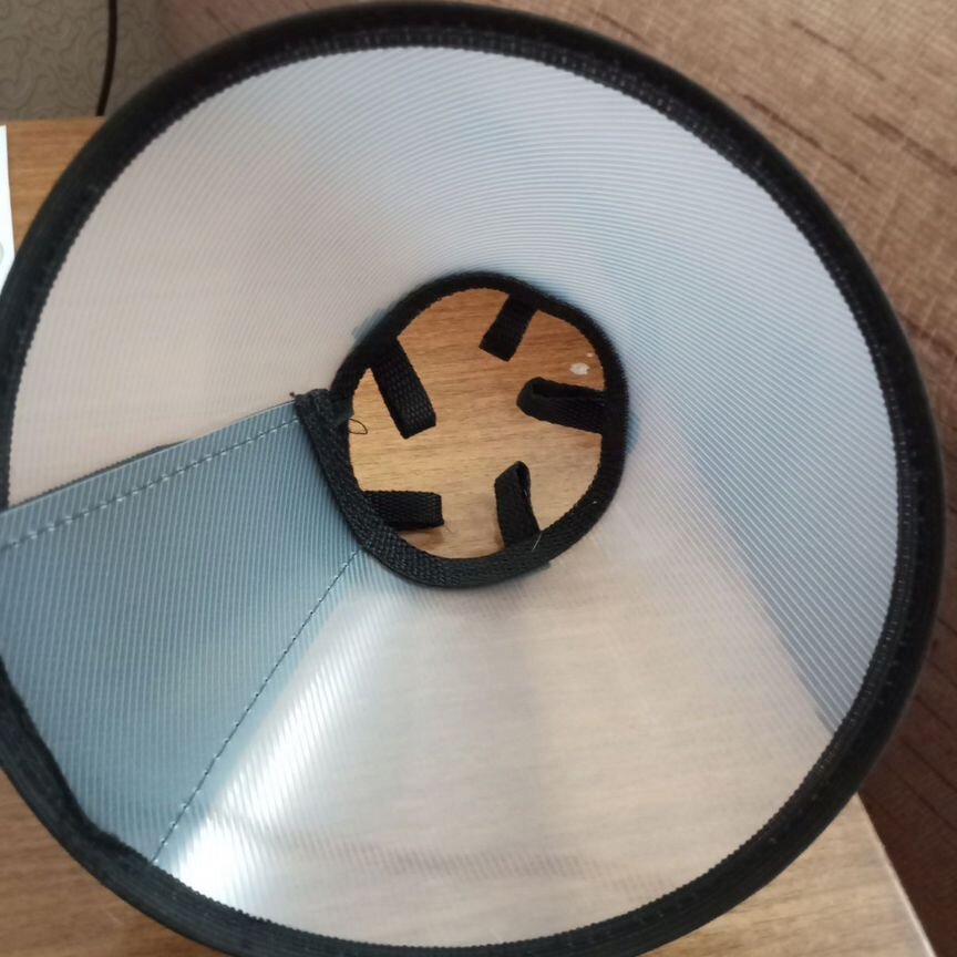 Воротник защитный для кошек или маленьких собак