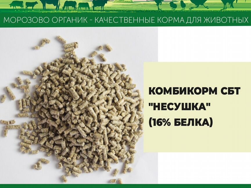 Комбикорм для несушки Морозово органик