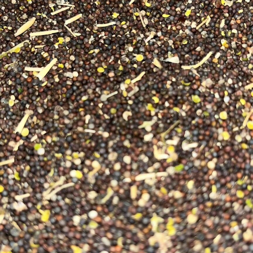 Отходы рапса