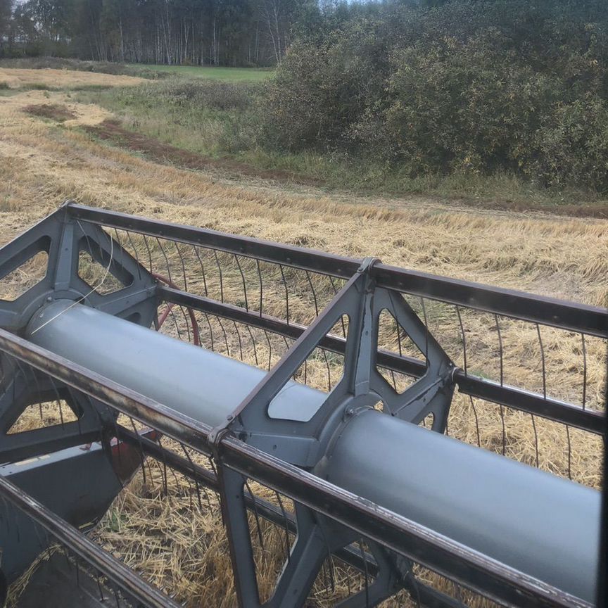 Продам зерно 1000 кг 12 р