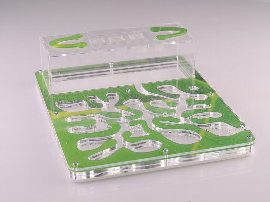 Муравьиная ферма (формикарий) "Амазонка" Стандарт