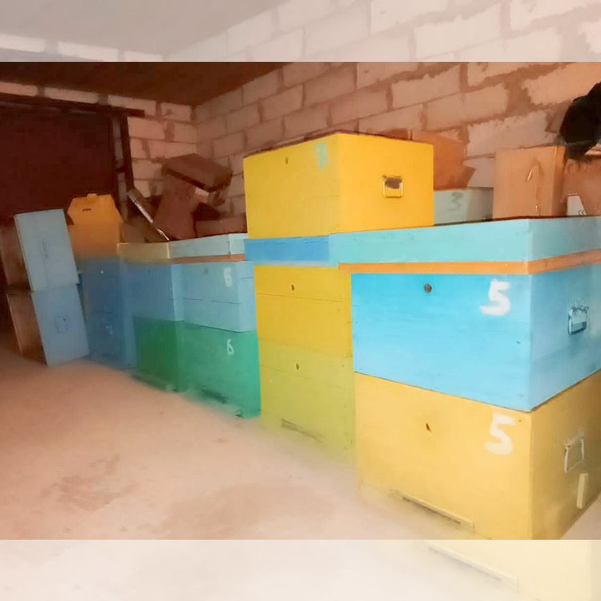 Ульи для пчел