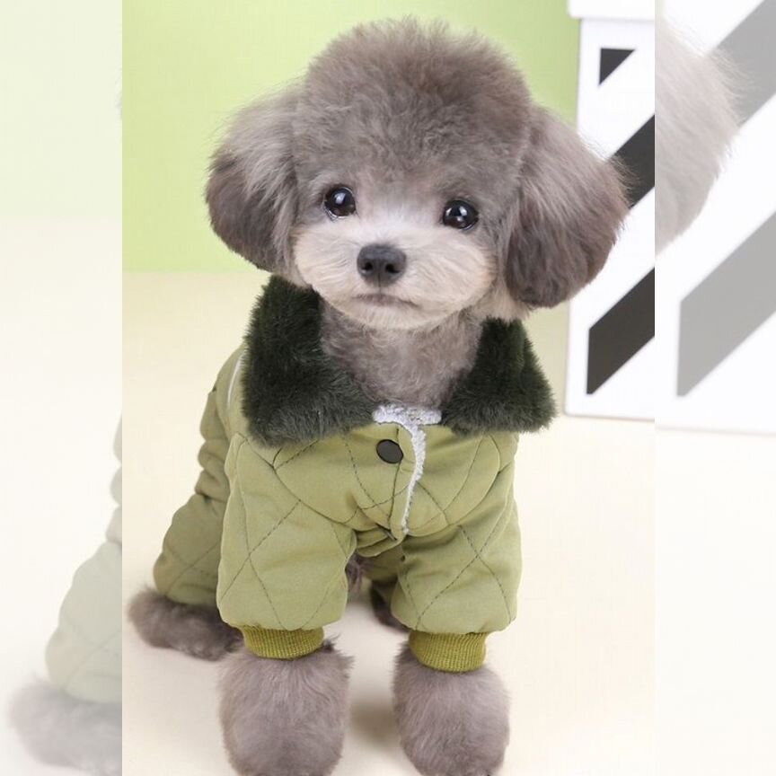 Зимняя куртка для собак