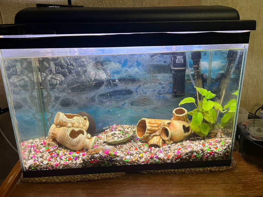 Аквариум с рыбками бу