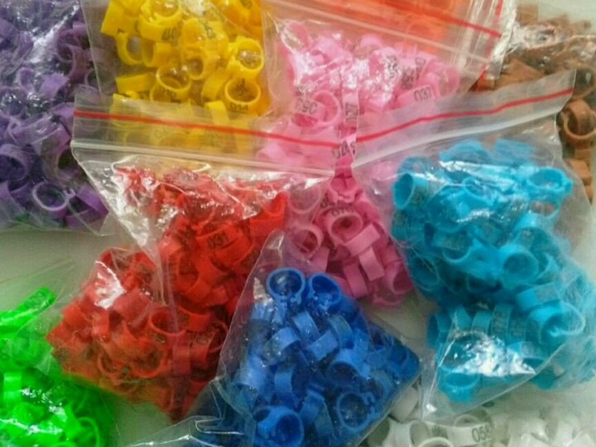 Кольца для голубей