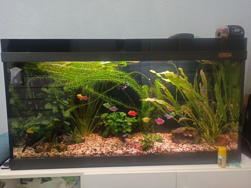 Аквариум ссб Аква 200 л+ оборудование