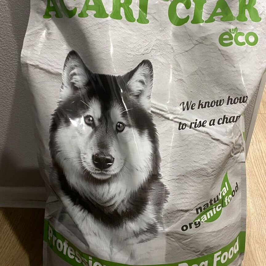 Корм для собак