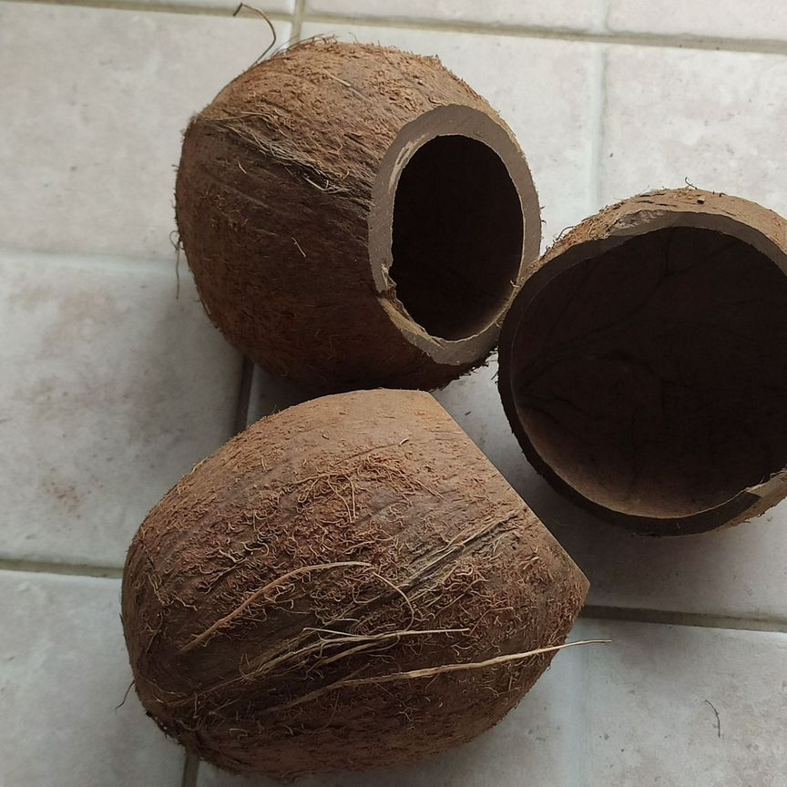 Кокос для аквариума