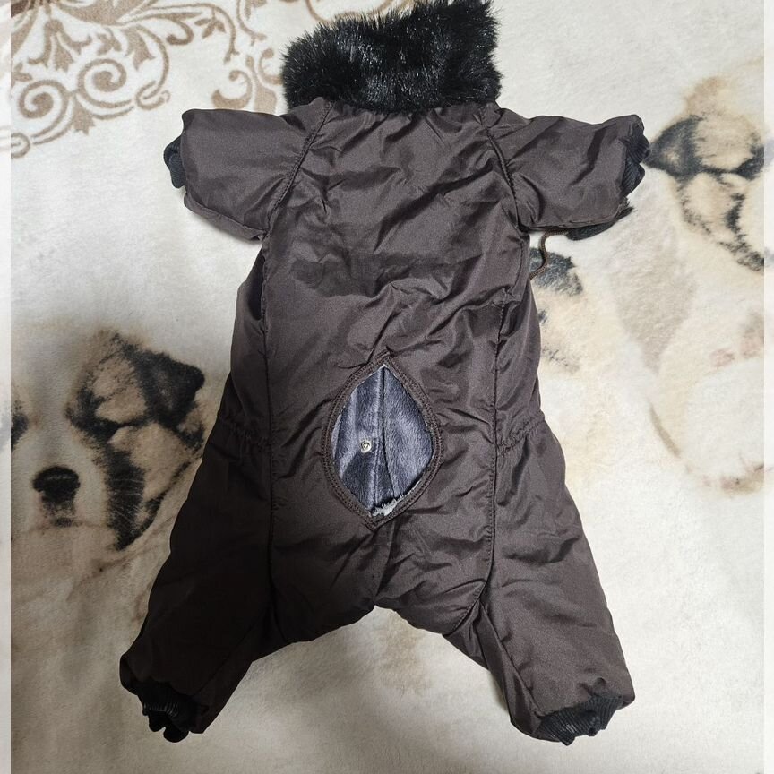 Одежда для собак мелких пород зима