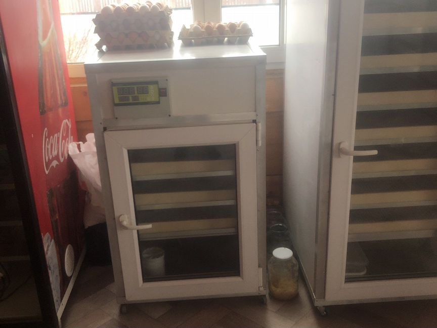 Инкубатор на 1080 яиц