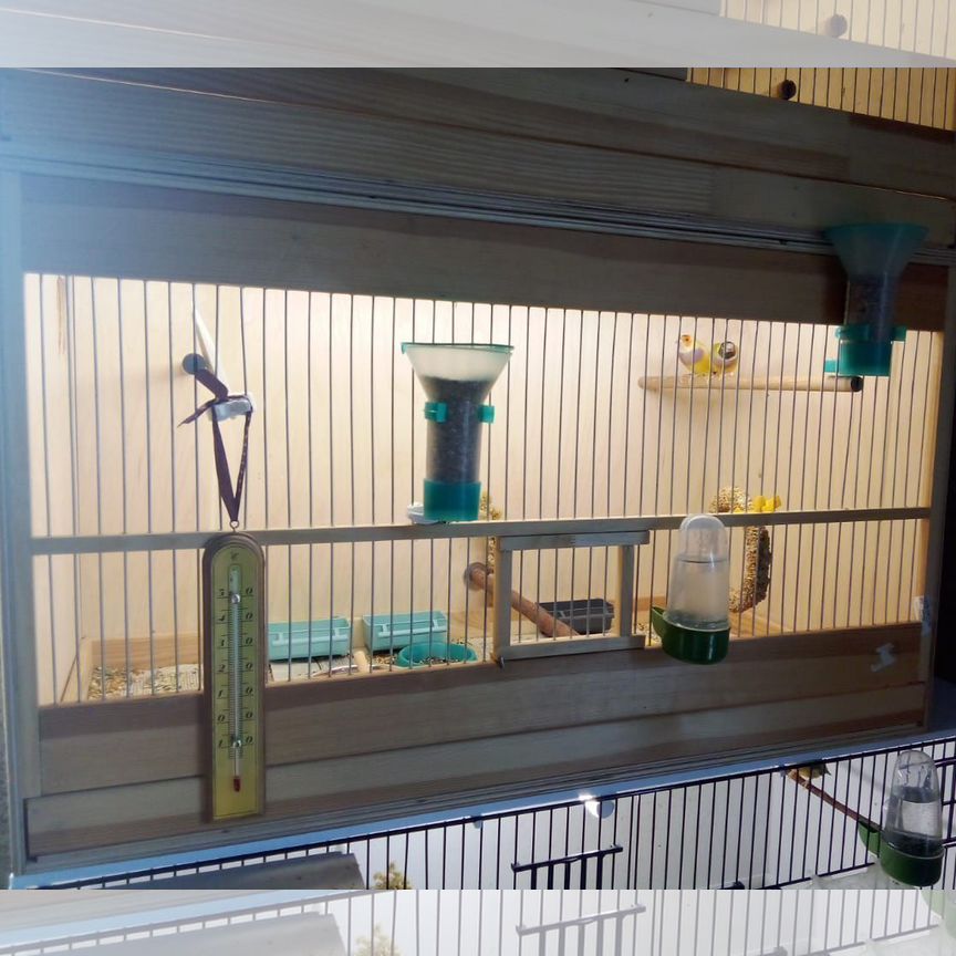 Боксы для разведения птиц