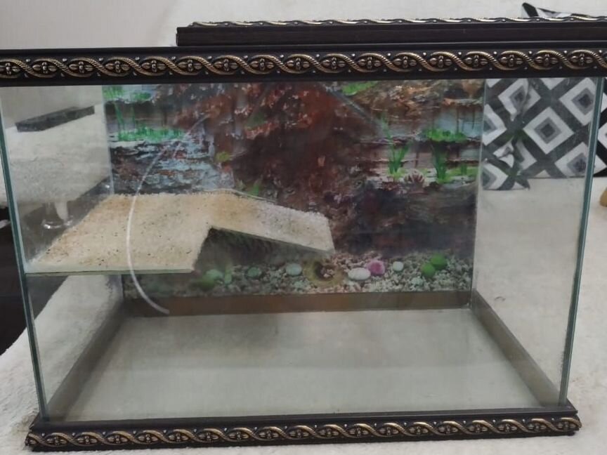 Аквариум с мостиком
