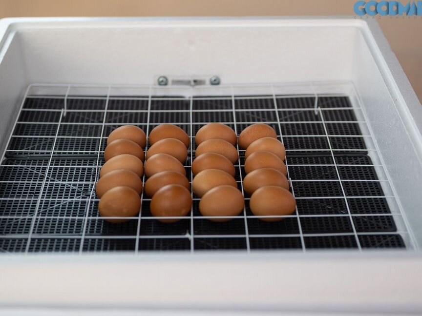 Инкубатор для яиц Несушка на 104 яйца, Аналоговый