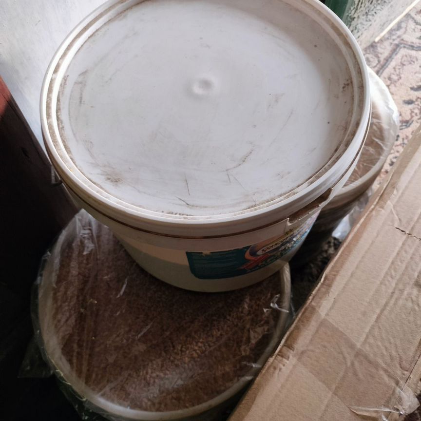 Зерно на корм