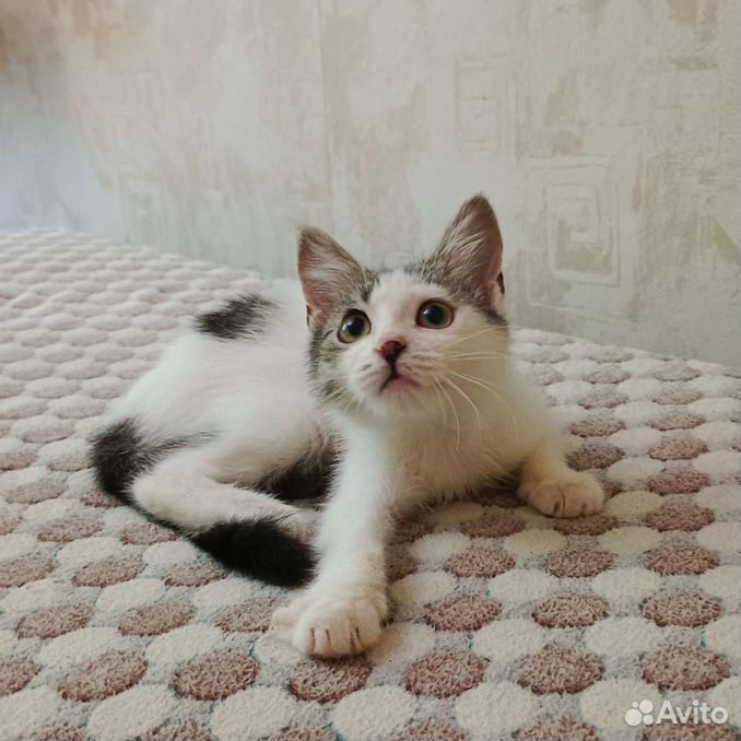 Машуня ищет семью