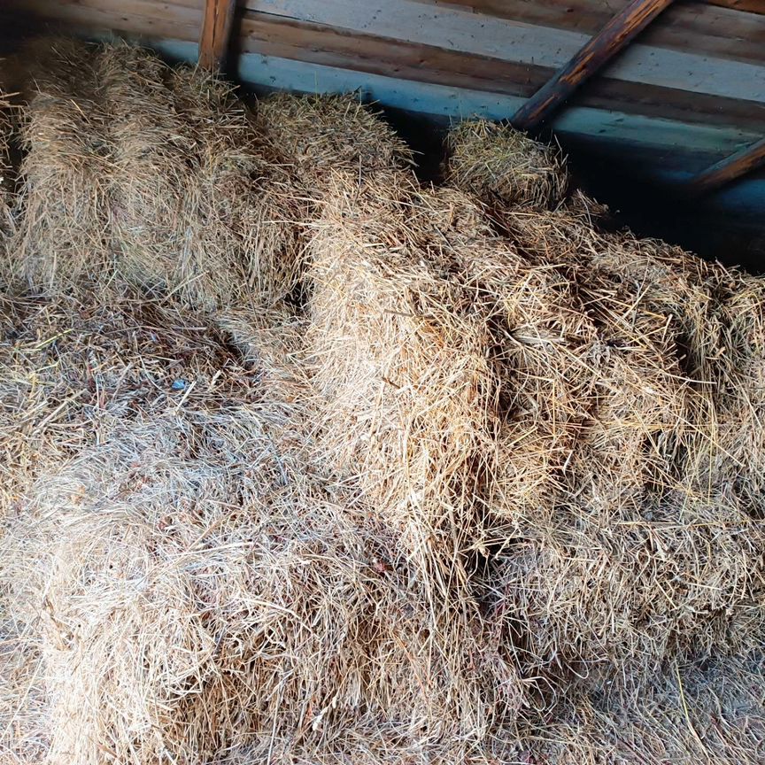 Сено в тюках