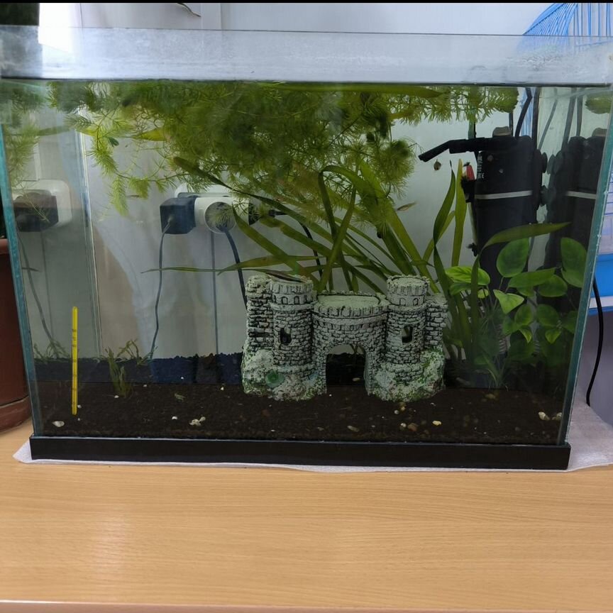 Аквариум с рыбками