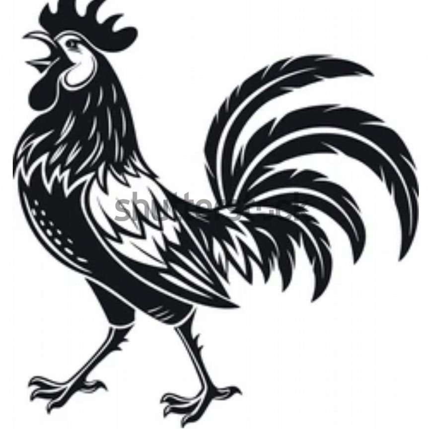 Продам петушка