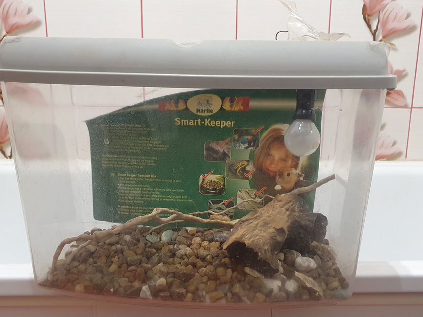 Террариум-переноска Karlie Smart-Keeper 40,3х23,5
