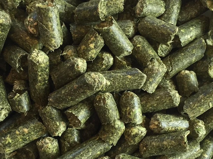 Гранула люцерны