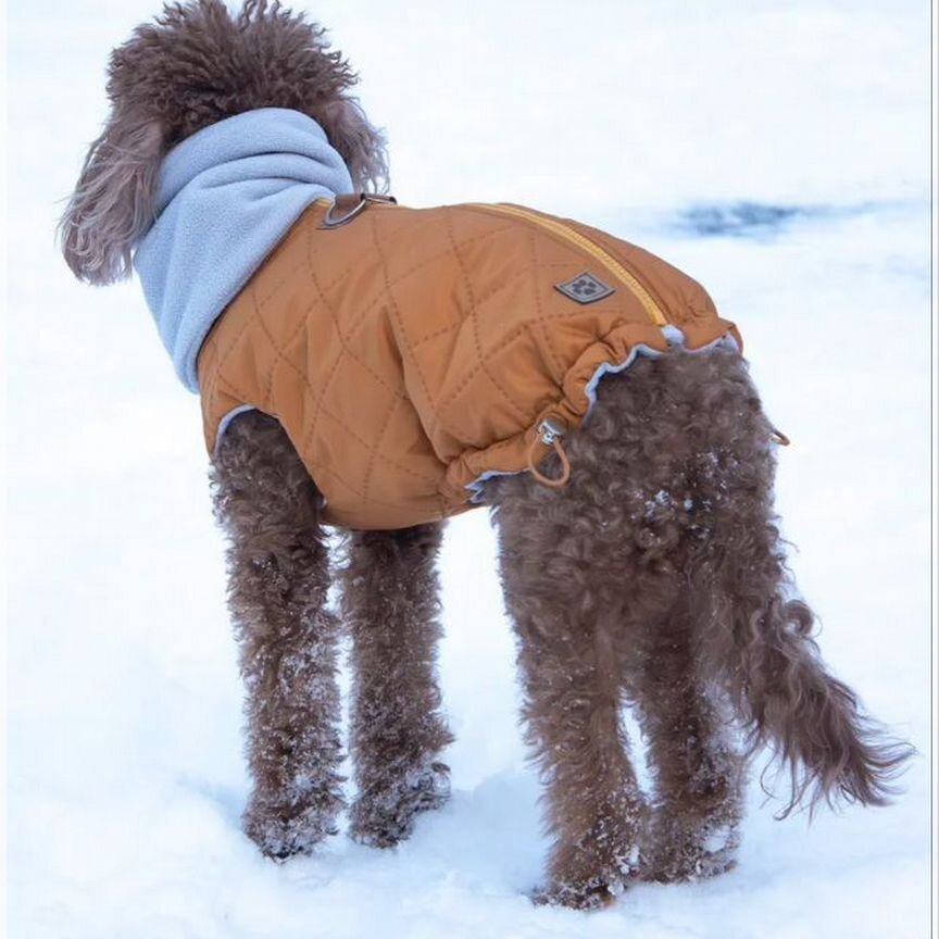 Жилет для мелких пород собак