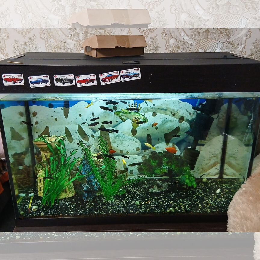Аквариум с тумбой