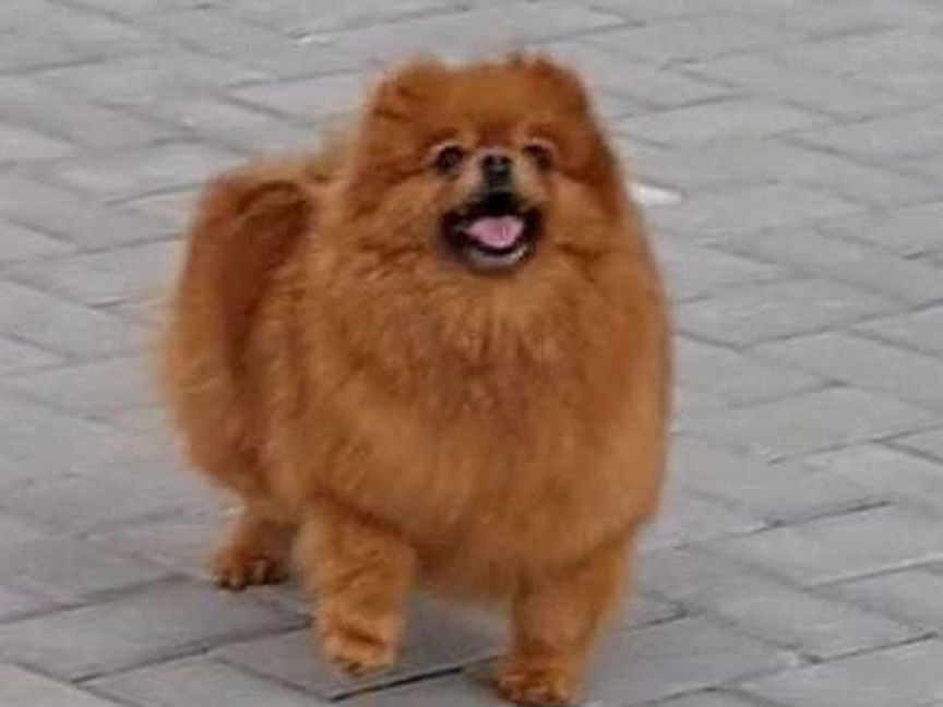 Девочка 5 лет с видео