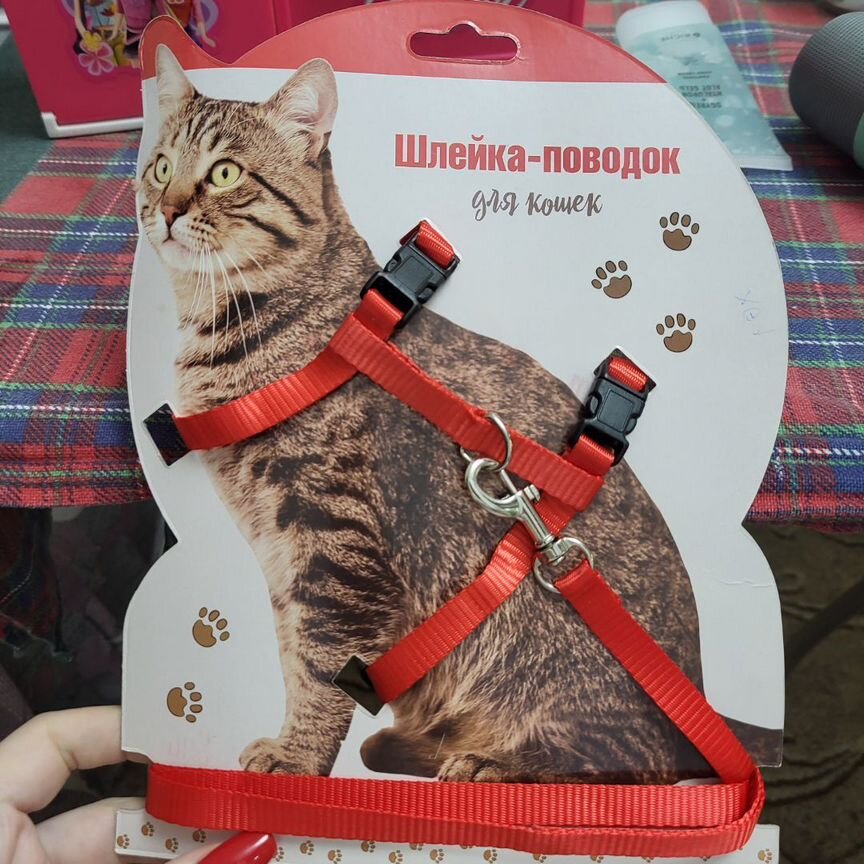 Поводок кошачий